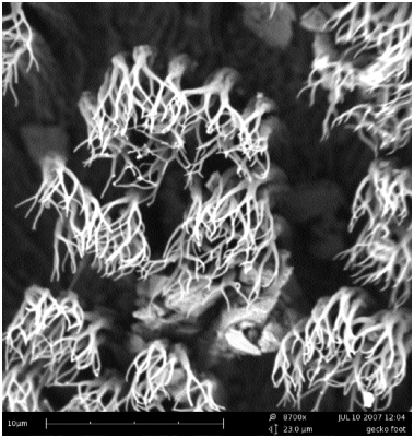 35 everyday things made awesome under a microscope. : r/pics