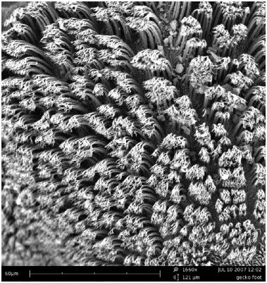 35 everyday things made awesome under a microscope. : r/pics