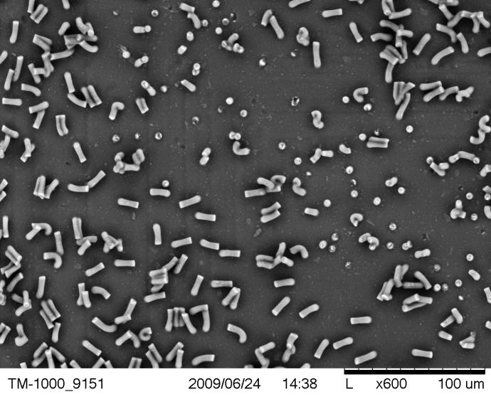 microscope image of tape | NISE Network