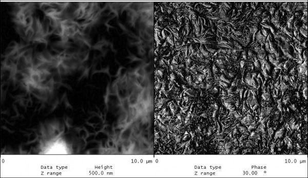 atomic force microscope | NISE Network