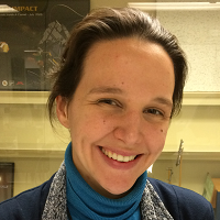 Online Workshop: Asteroids, Meteorites, NASA Missions & more! | NISE ...