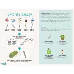 Building with Biology reference packet | NISE Network